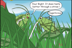 Aphid Cartoons | Corky's Pest Control Services | San Diego Pest Control